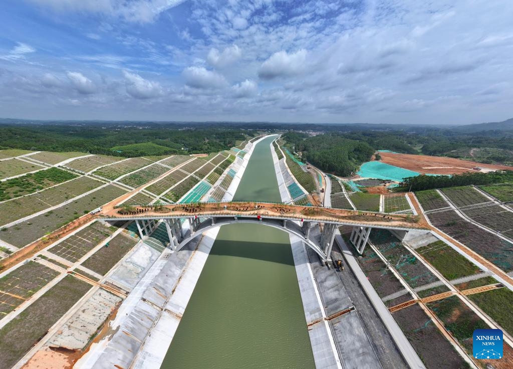 Wildlife corridor bridge of Pinglu Canal in China's Guangxi - Global Times
