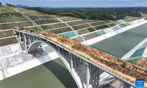 Wildlife corridor bridge of Pinglu Canal in China's Guangxi - Global Times