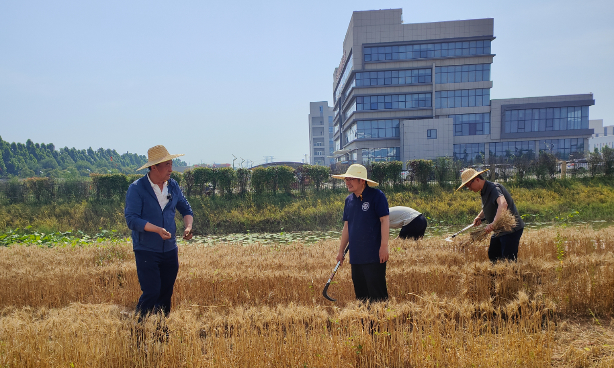Geo-STEP model offers systematic land engineering approach for Global ...